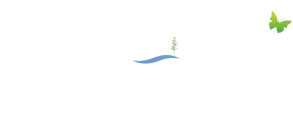 Island Essentials - Natural Body + Hair Care | Not A Franchise